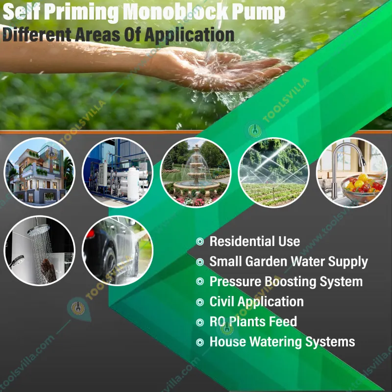 CRI 1 Hp 1Phase Copper Winding Mini Self Priming Monoblock Pump, 30m ...