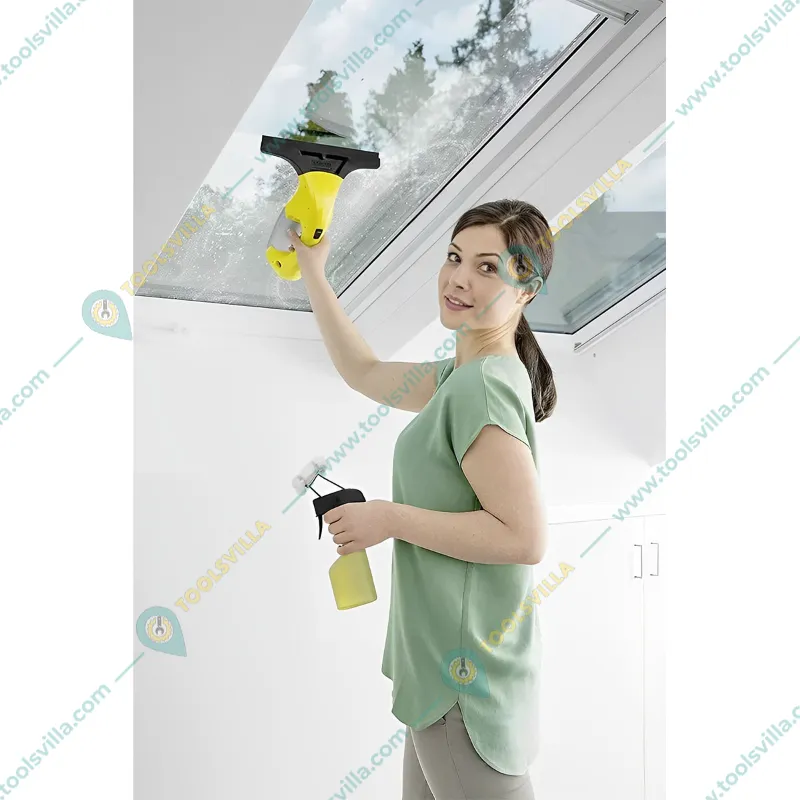 Karcher 100 ml Battery Powered Window Vacuum Cleaner