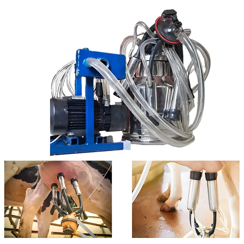 Premium Quality 20L Single Bucket 0.5 HP Inverter type Portable Milking ...