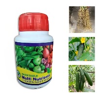 Agrinex 1L Vegetable Multi-Nutrient Growth Promoter