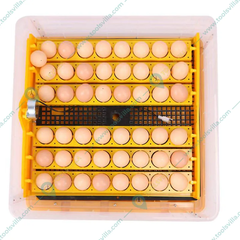 Generic (Imported) - Automatic Egg Incubator with Egg Turner Tray, 48 ...
