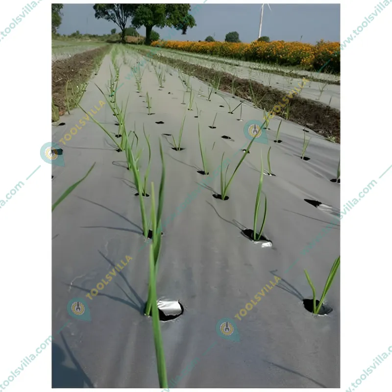 Battery Operated 3 inch Mulching Hole Making Machine without Battery