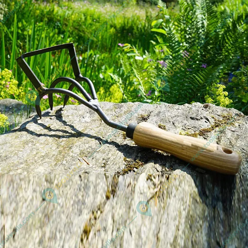 Manual Culti-Weeder with Wooden Handle