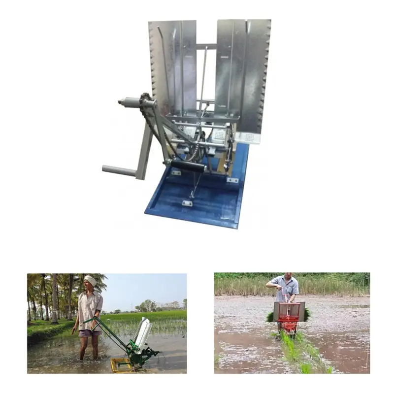 Double Row Stainless Steel Manual Rice Planter of 10 Row Spacing with ...